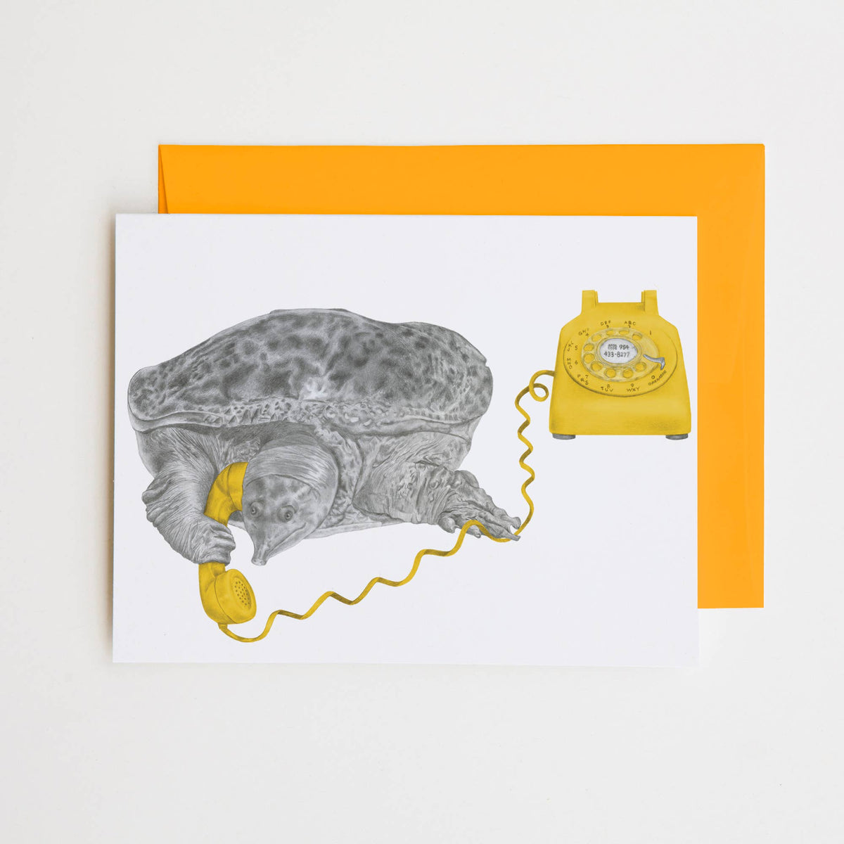 Otis Idlewood Florida Softshell Turtle Note Card – Tusk Abode